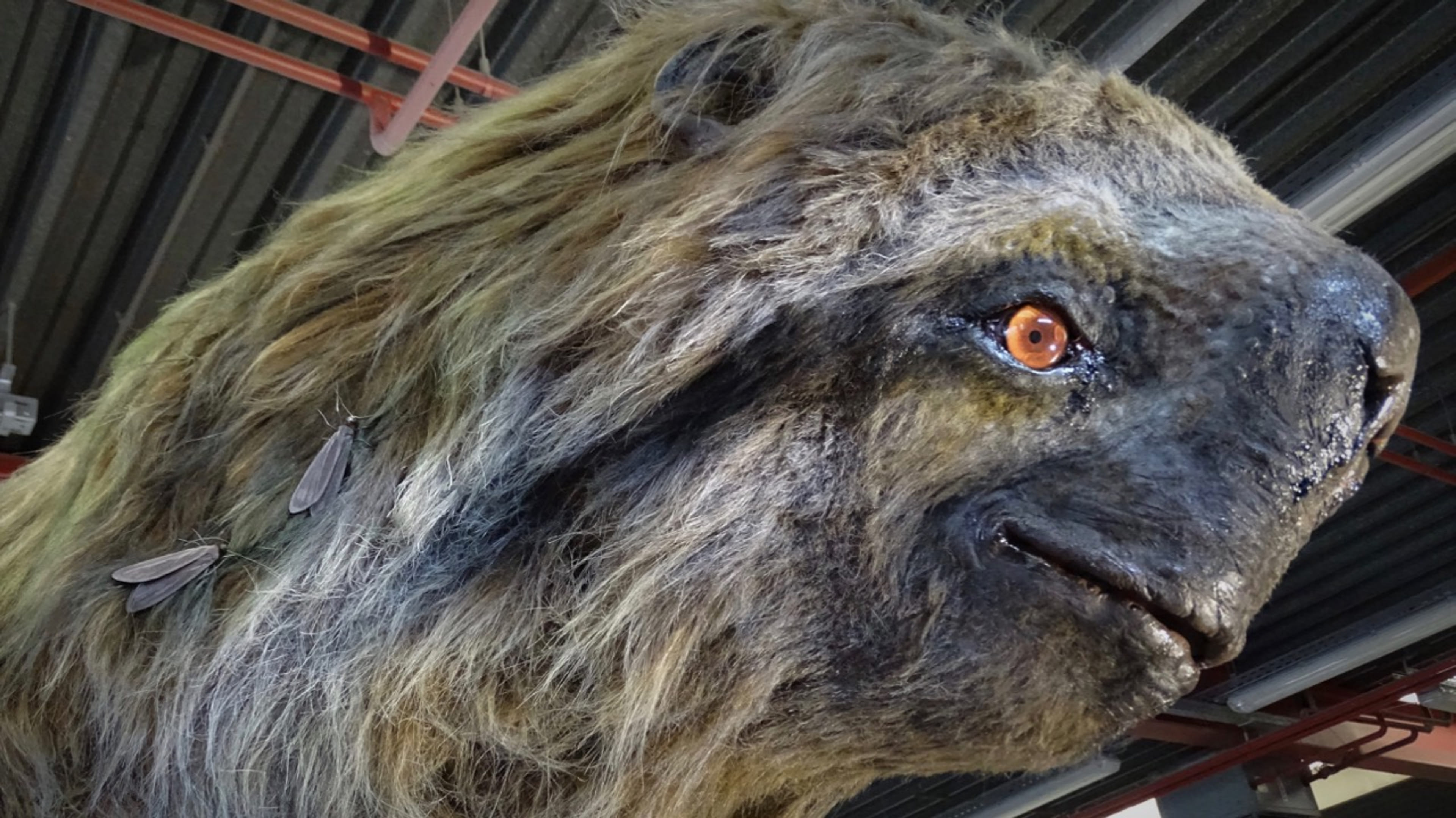 Life-sized Jefferson's ground sloth model by Jaap Roos : r/Slothfoot