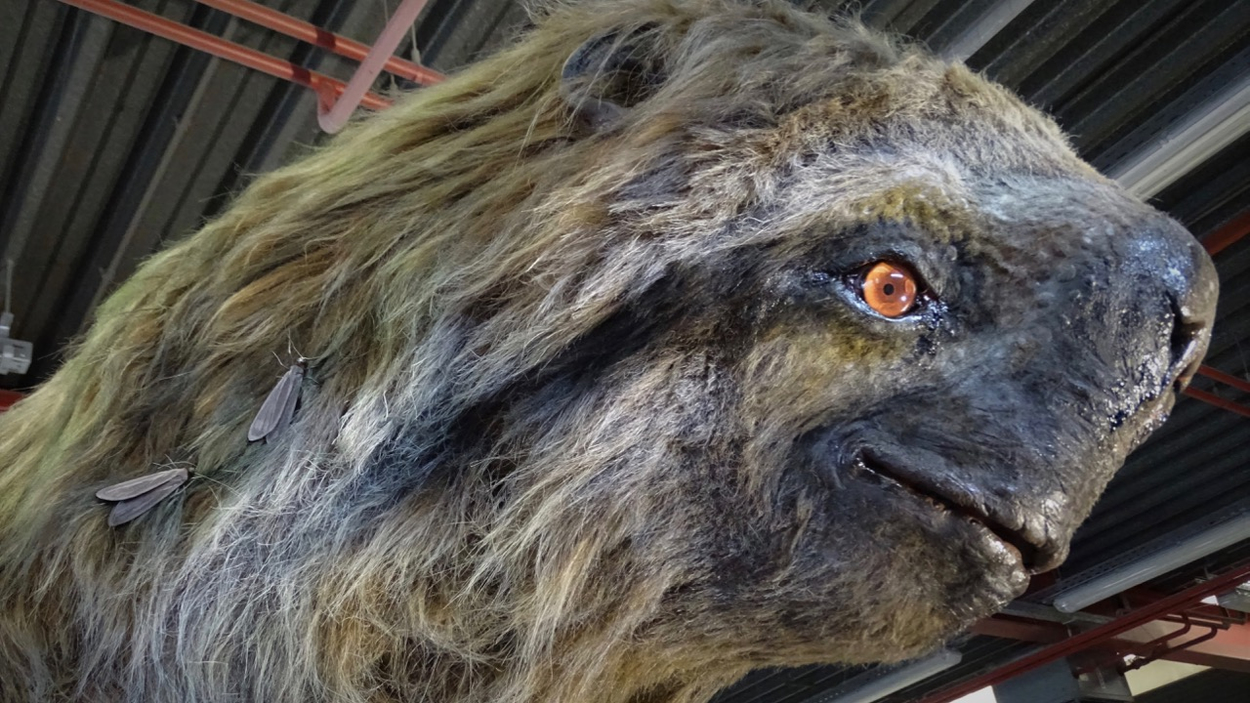 Reuzenluiaards en andere ijstijdbeesten - Vroege Vogels - BNNVARA